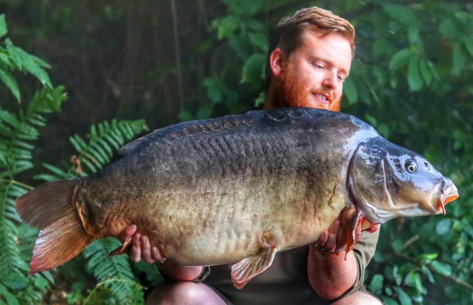 41lb Mirror | Total Carp